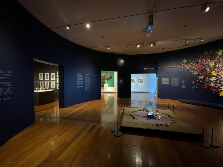 Professor Greg Dvorak co-curated “Air Canoe: Art from Northern Oceania ...
