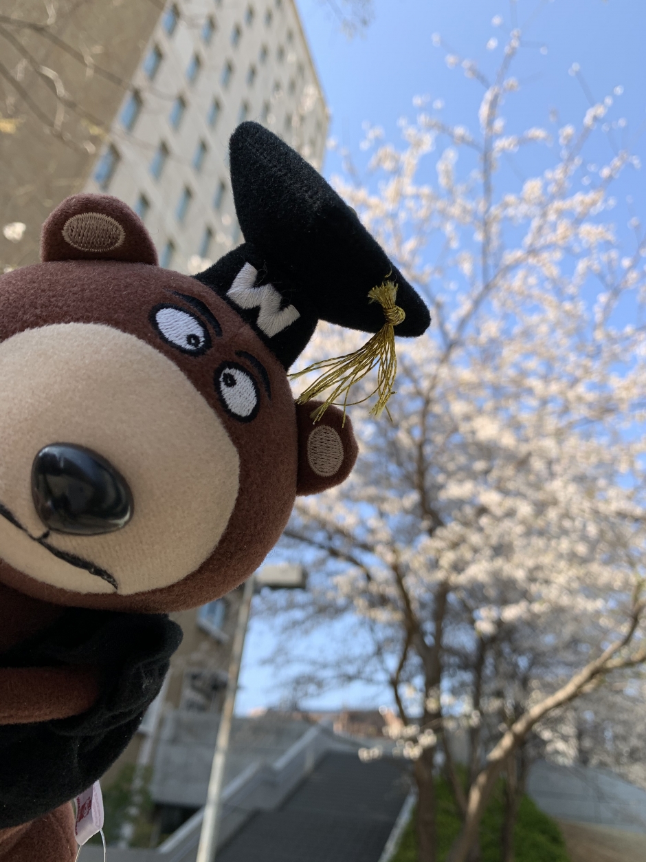 To all new students, Welcome to GSICCS ! – Graduate School of International Culture and ...