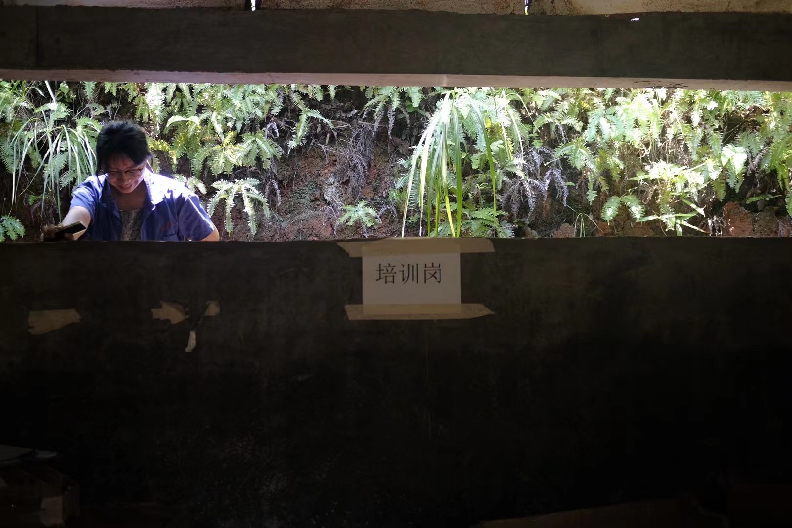 【Introduction of New Faculty Member】 SHAN, Qi, Assistant Professor ...