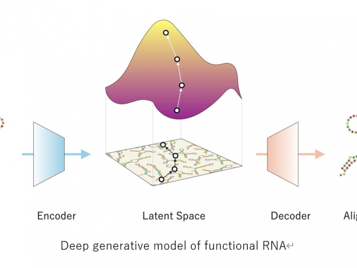 News – Faculty of Science and Engineering, Waseda University