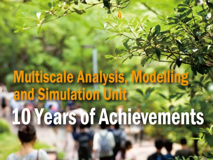 Mathematics and Physics Unit “Multiscale Analysis, Modelling and ...