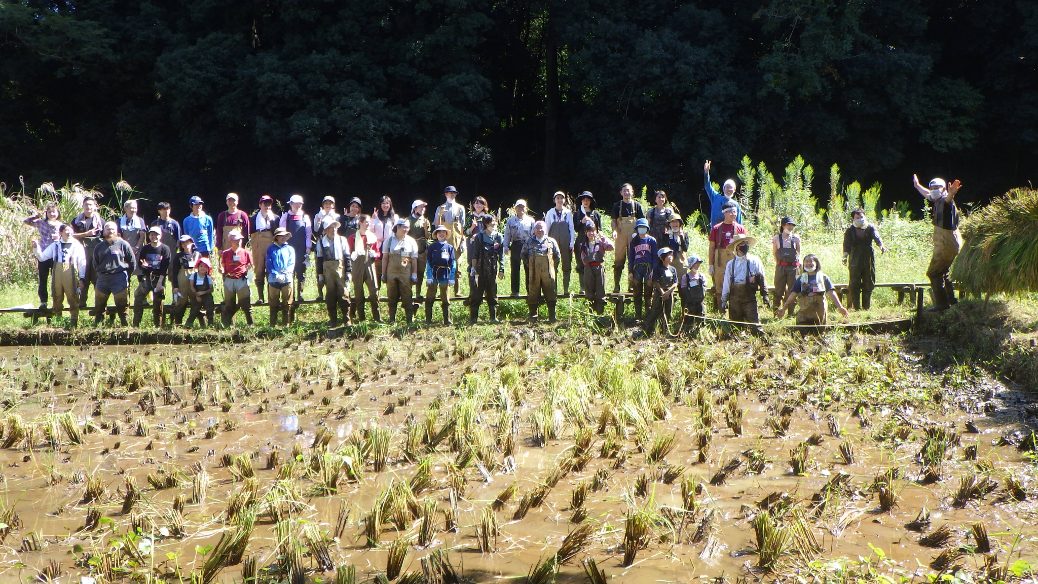 Life Philosophy in a Muddy Rice Paddy! ICC Field Trip Participant ...