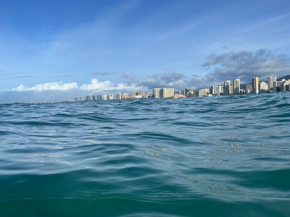 スーパーグローバル大学創成支援「Waseda Ocean 構想」