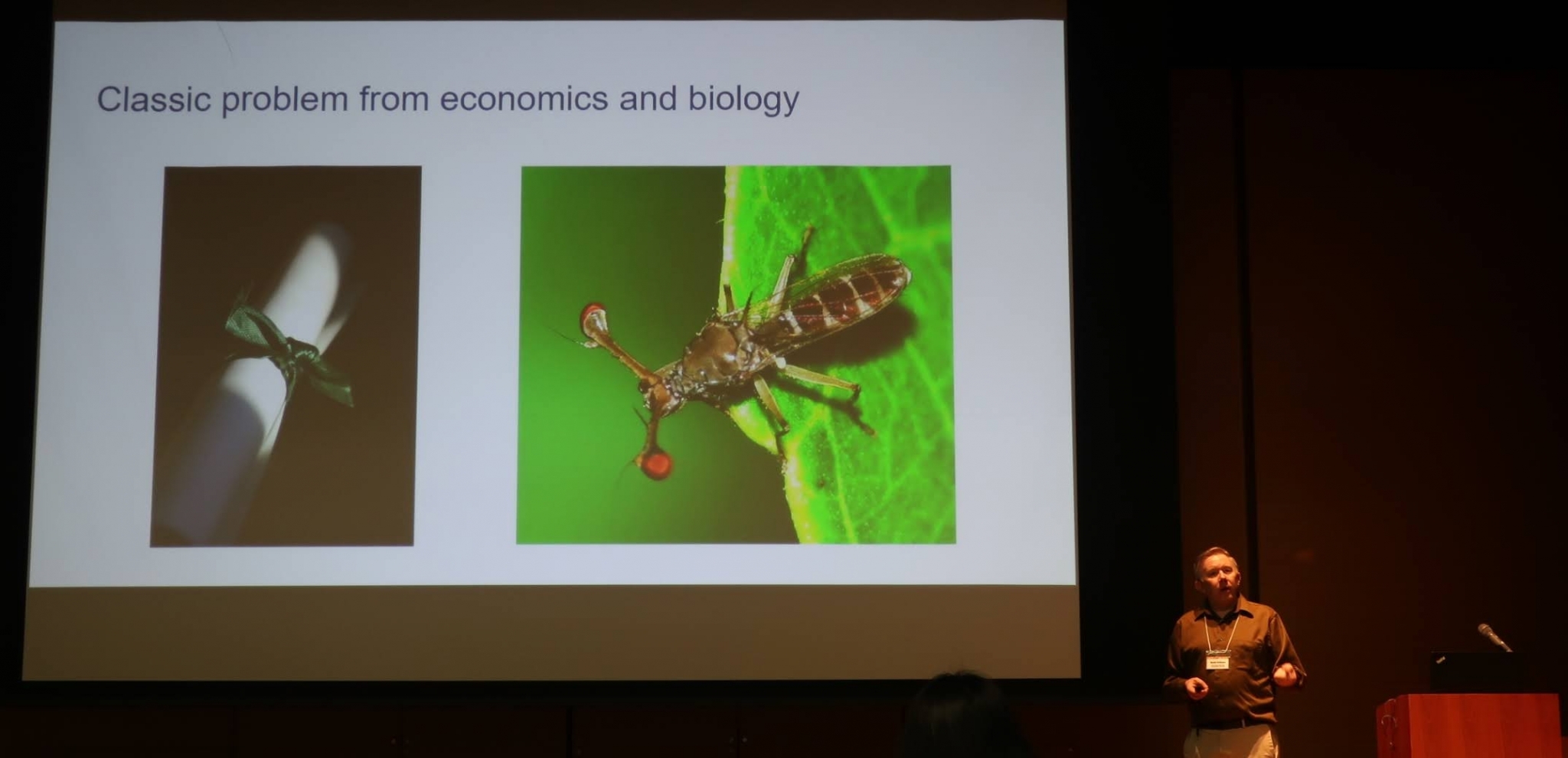 Event Report: “Workshop on Foundations of Game Theory: Logic, Bounded ...