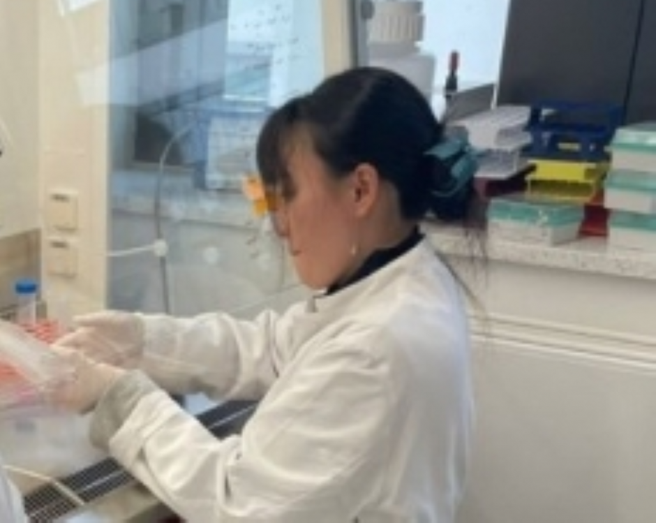 派遣学生の活動レポート2022（ボン大学⑤） – スーパーグローバル大学創成支援「Waseda Ocean 構想」