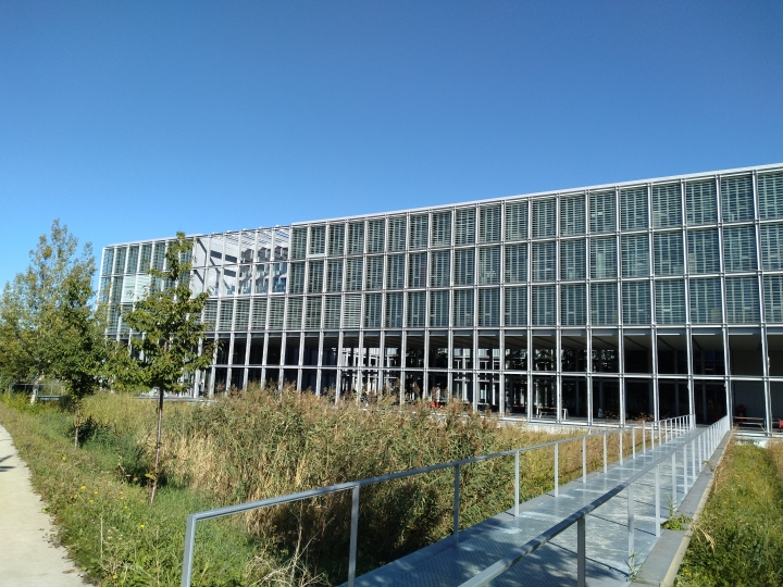 Top Global University Project: Waseda Goes Global