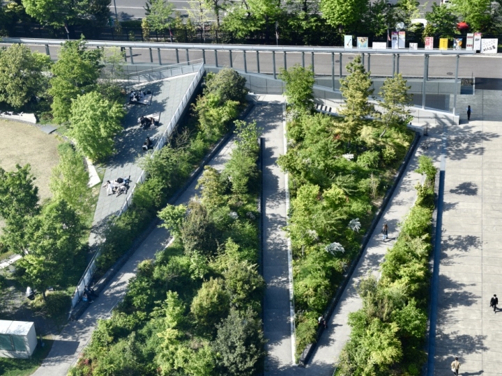 Information – Waseda University