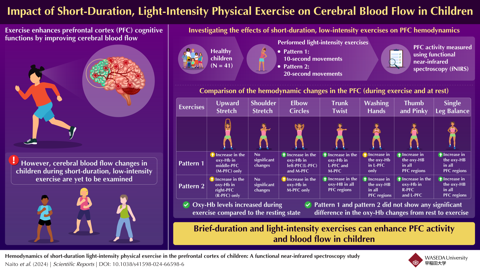 Short-Duration, Light-Intensity Exercises Improve Cerebral Blood Flow ...