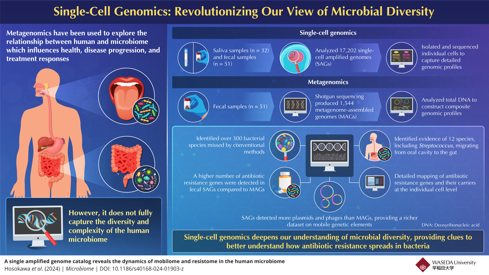 Decoding Bacterial Genomes Using Single-Cell Genomics – Waseda University